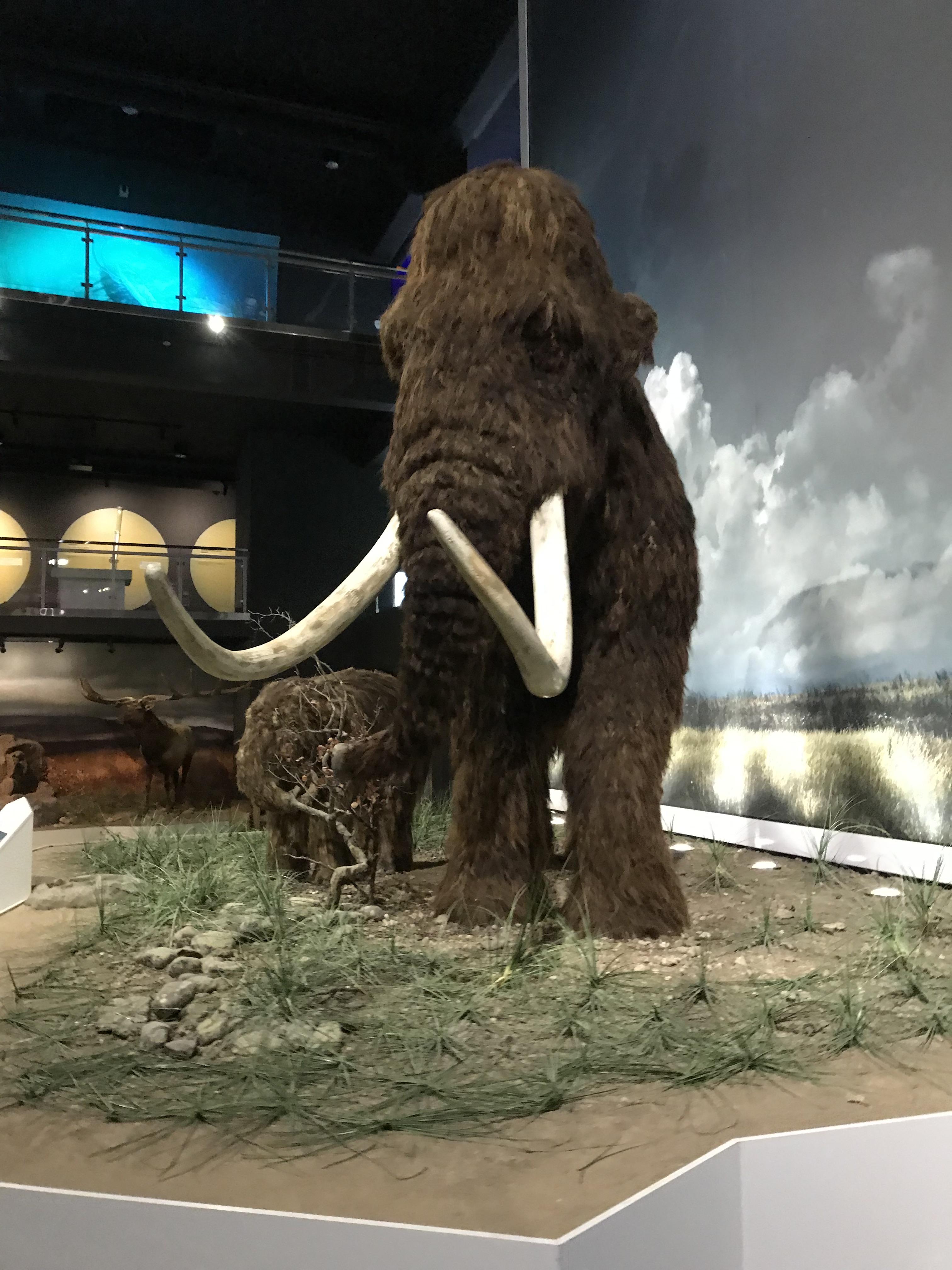 Viimati muudetud 25.09.2019.